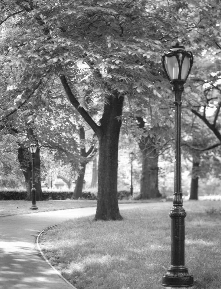 Central Park Luminaire - Kent Bloomer